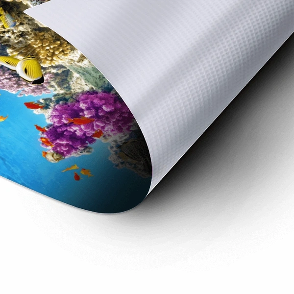 Waterproof Posters | Torbay And Teignbridge Printing Services Limited